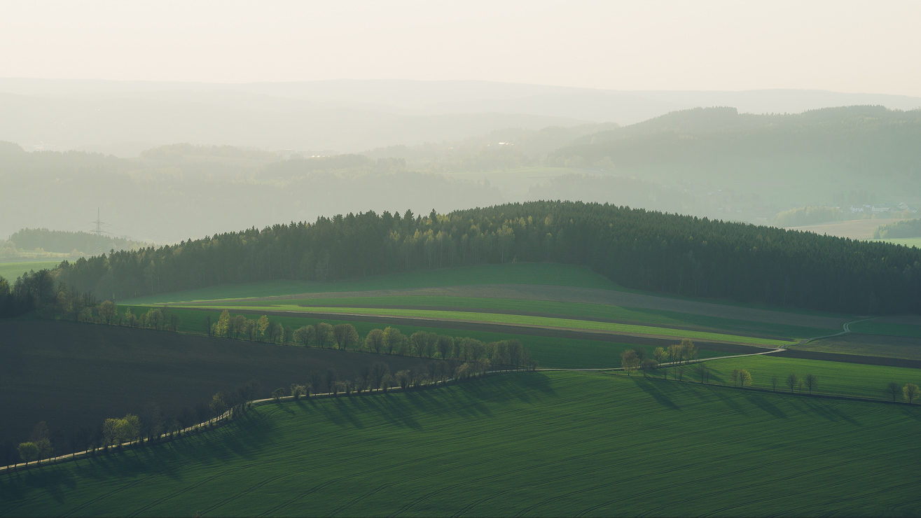 Nature Photography Ore Mountains, Saxony | Nils Leonhardt